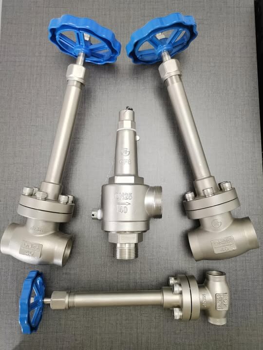 Cryogenic Valves: Preventing Backflow & Ensuring Process Safety